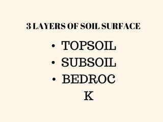 Types and Kinds of Soil Lesson for Grade 2.pptx