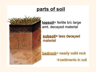 Types and Kinds of Soil Lesson for Grade 2.pptx
