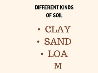 Types and Kinds of Soil Lesson for Grade 2.pptx