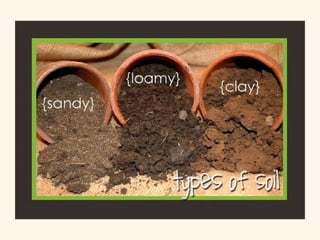 Types and Kinds of Soil Lesson for Grade 2.pptx