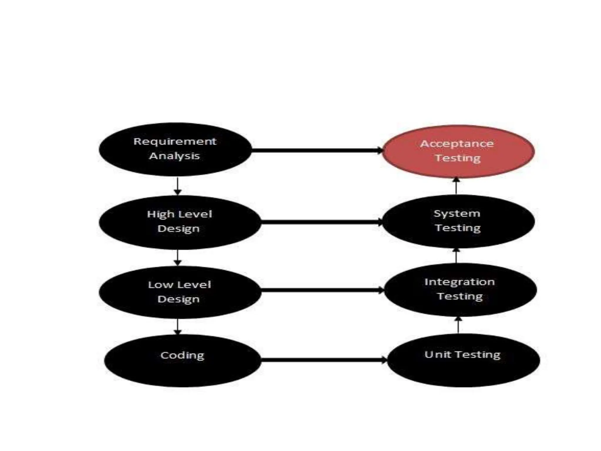 Types and levels of testing chpter 2 (1).pdf