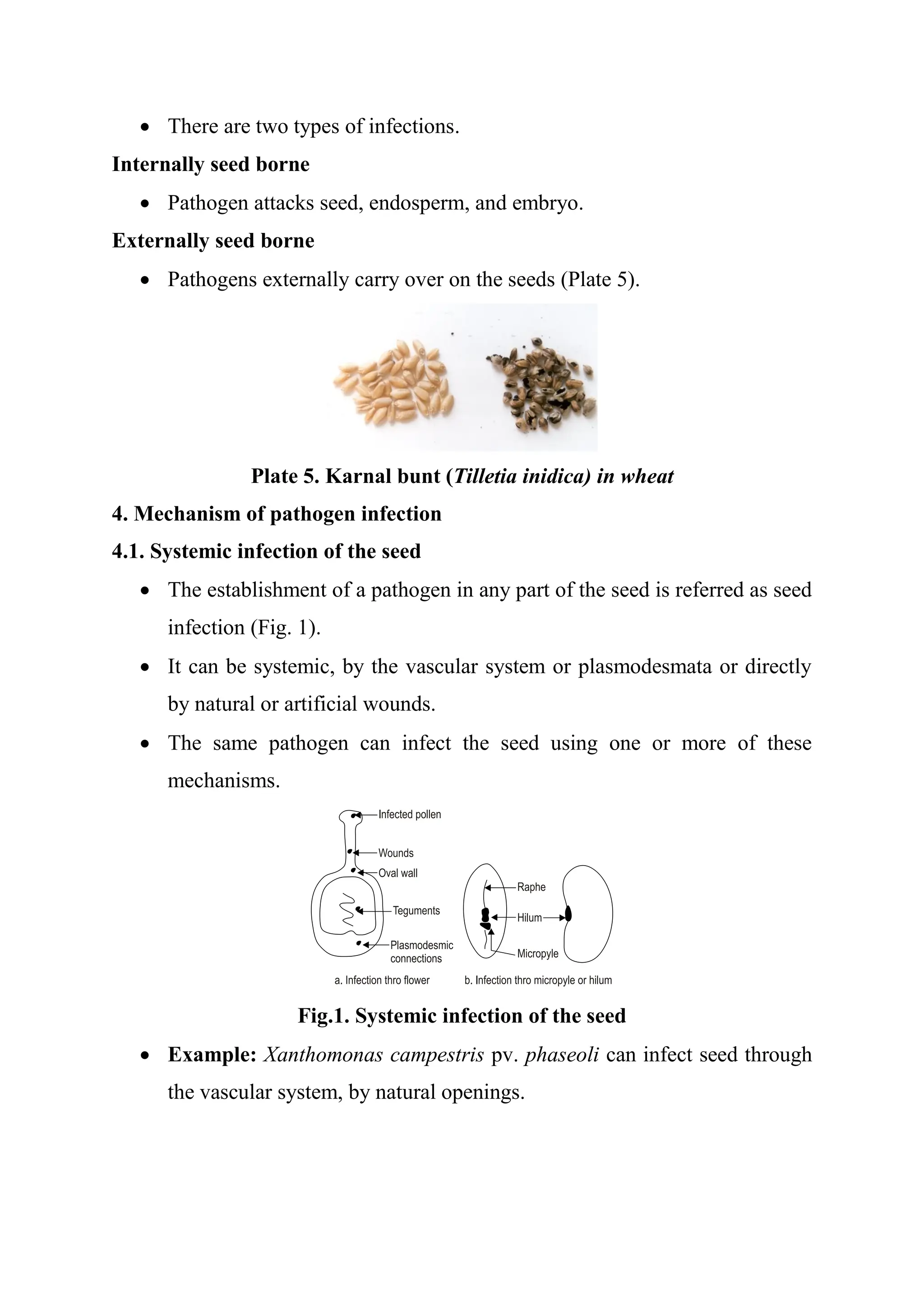 TYPES AND MECHANISMS OF SEED PATHOGEN INFECTION.pdf