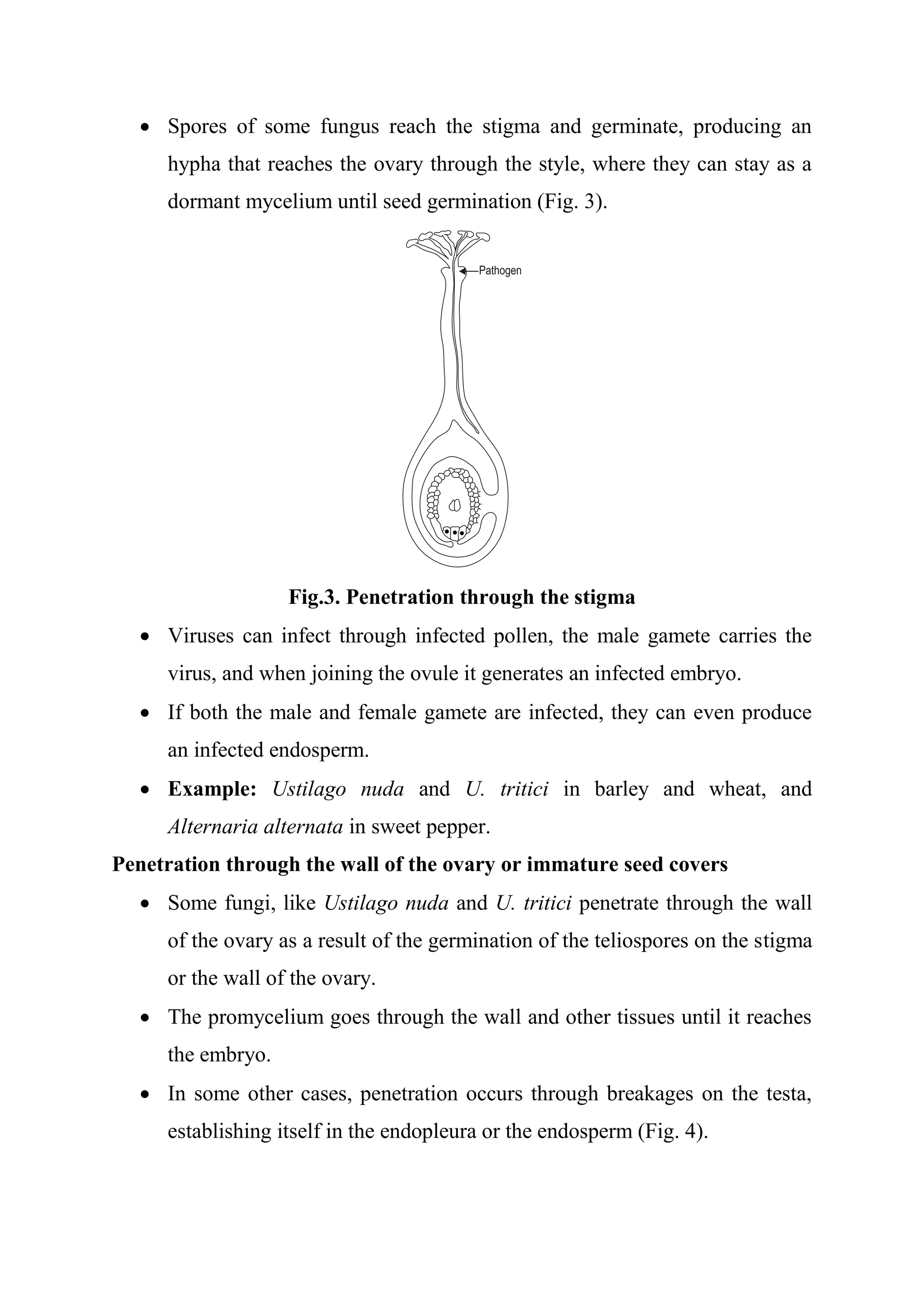 TYPES AND MECHANISMS OF SEED PATHOGEN INFECTION.pdf