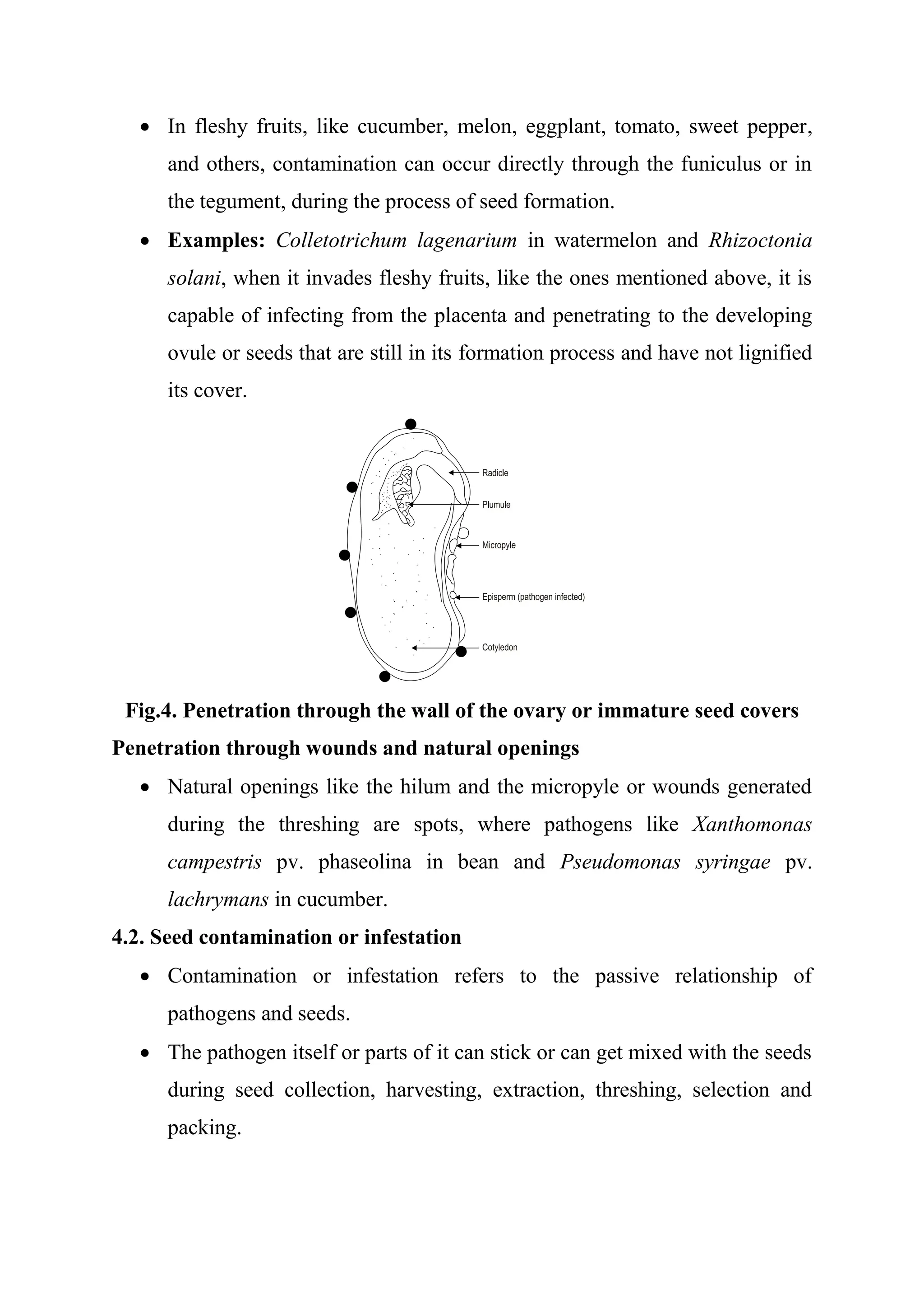 TYPES AND MECHANISMS OF SEED PATHOGEN INFECTION.pdf