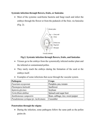 TYPES AND MECHANISMS OF SEED PATHOGEN INFECTION.pdf