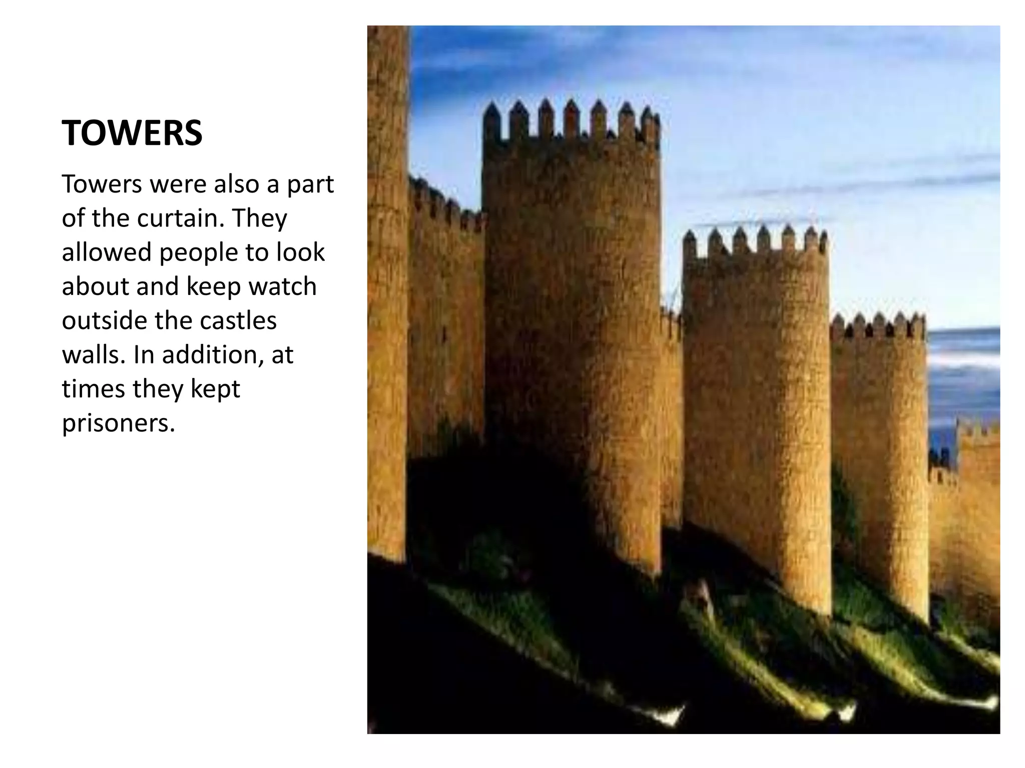 Types and parts of castle | PPTX