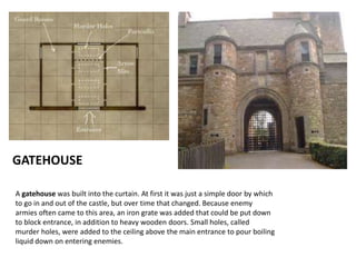 Types and parts of castle | PPTX