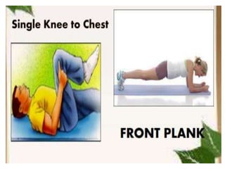 Types and phases of exercise | PPTX