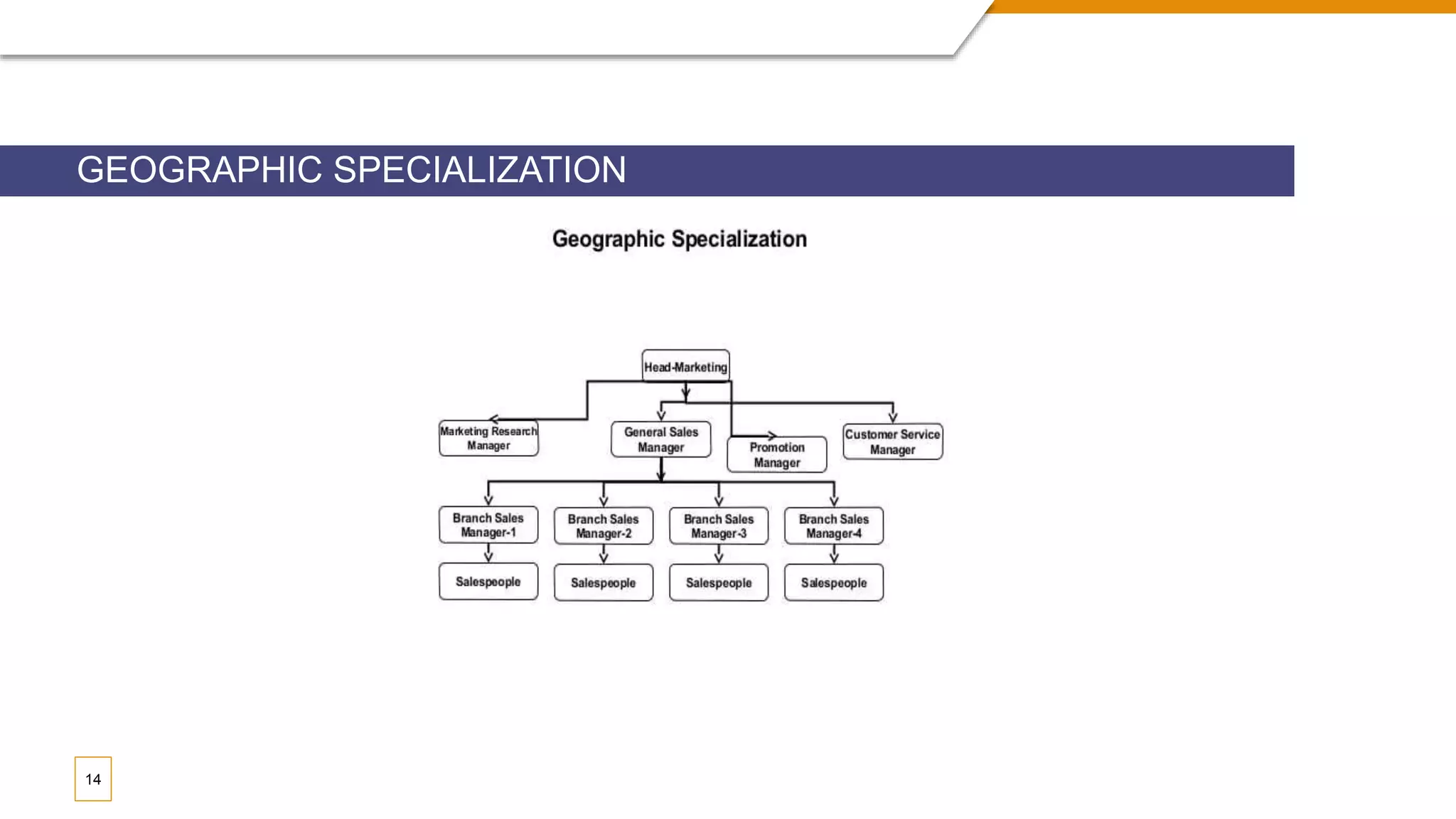 Types and structures of sales organization | PPTX