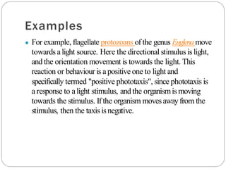 Types Animal Behavior.pptx | Brain and Nervous System Disorders ...