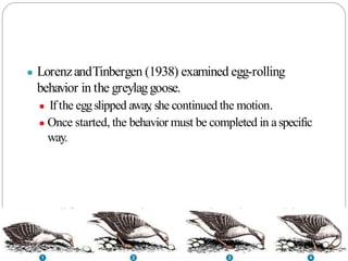 Types Animal Behavior.pptx | Brain and Nervous System Disorders ...