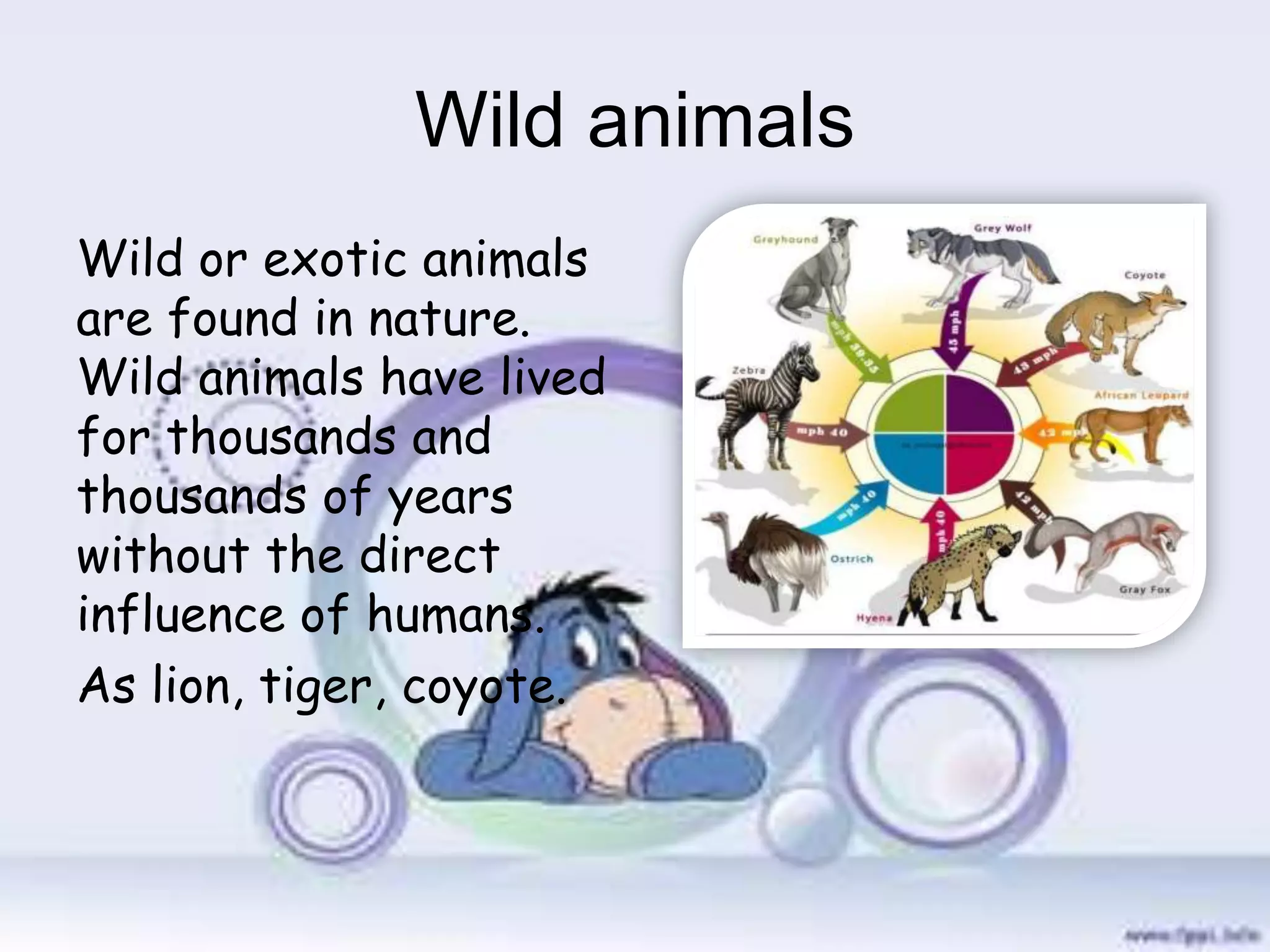 Types animals presentation | PPTX