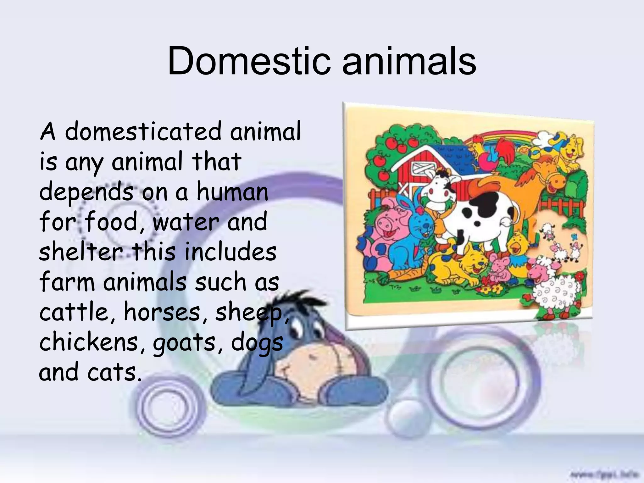 Types animals presentation | PPTX
