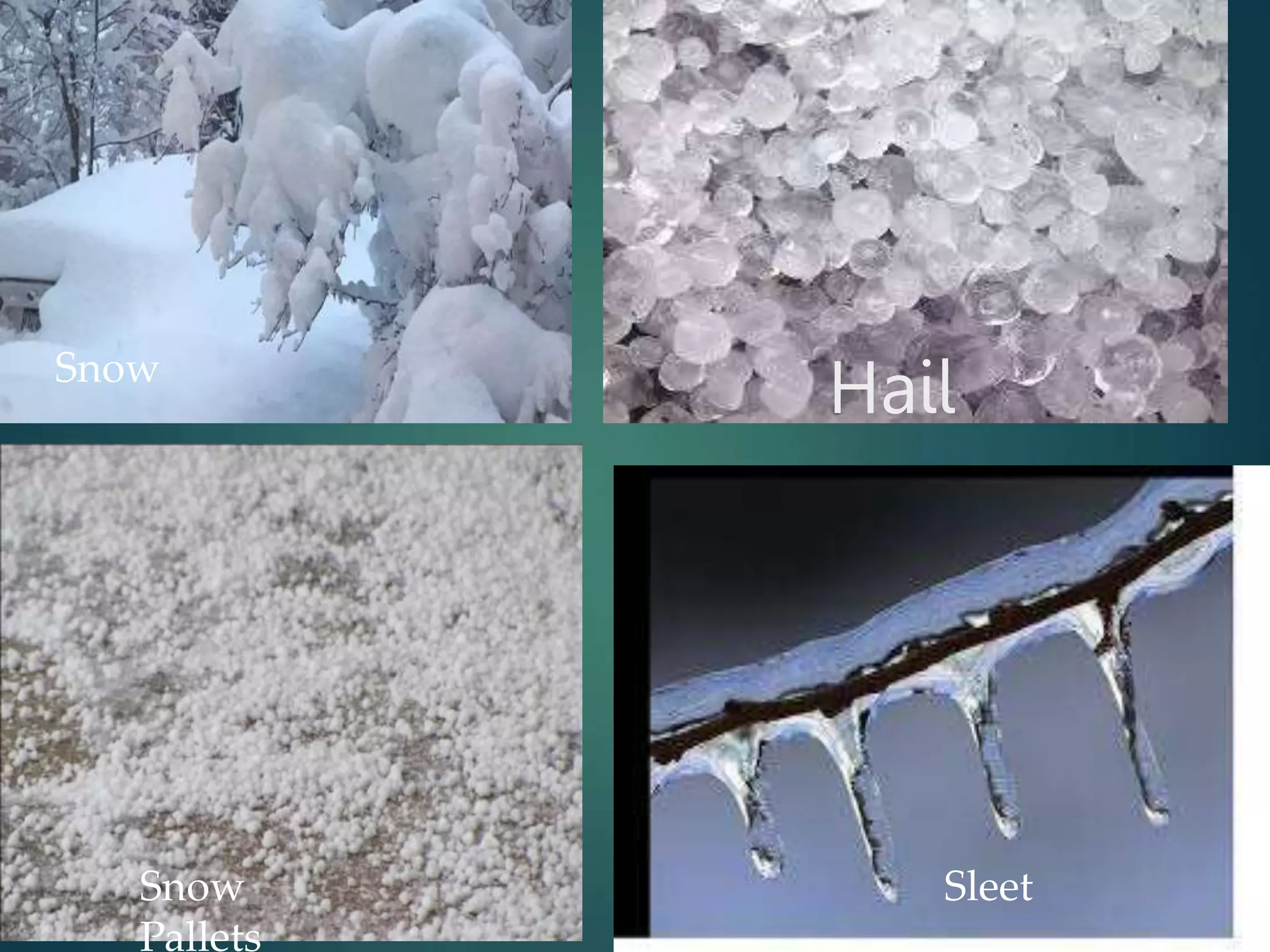 Types & forms of precipitation.pptx