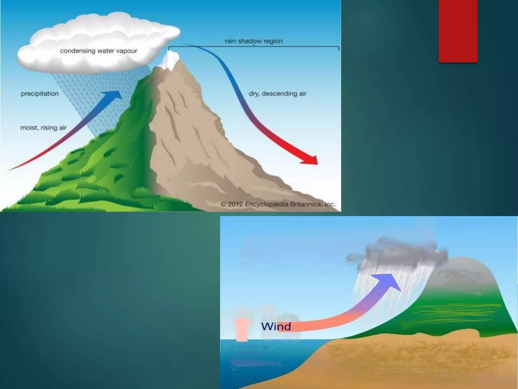 Types & forms of precipitation.pptx