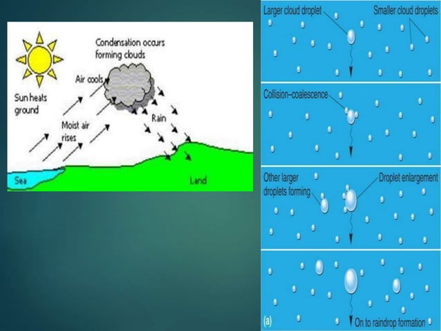 Types & forms of precipitation.pptx