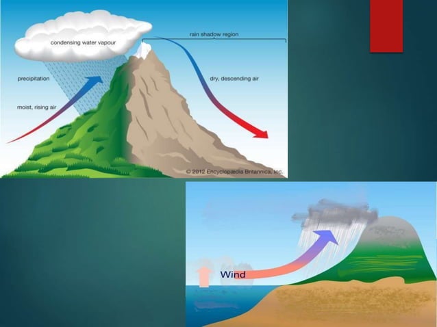 Types & forms of precipitation.pptx