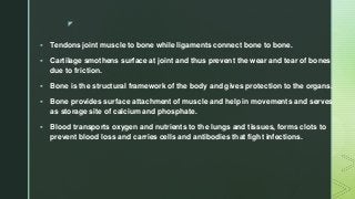 Types and Function of Connective Tissue | PPTX