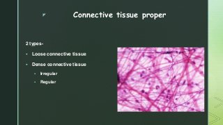 Types and Function of Connective Tissue | PPTX