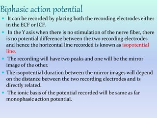 types of action-pot-B.Sc 18 - Copy (2).pptx | Brain and Nervous System ...