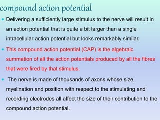 types of action-pot-B.Sc 18 - Copy (2).pptx | Brain and Nervous System ...