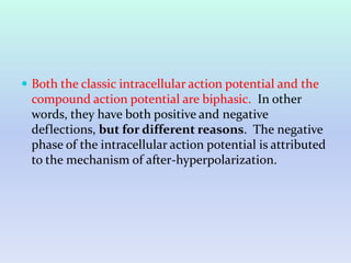 types of action-pot-B.Sc 18 - Copy (2).pptx | Brain and Nervous System ...