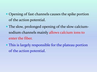 types of action-pot-B.Sc 18 - Copy (2).pptx | Brain and Nervous System ...