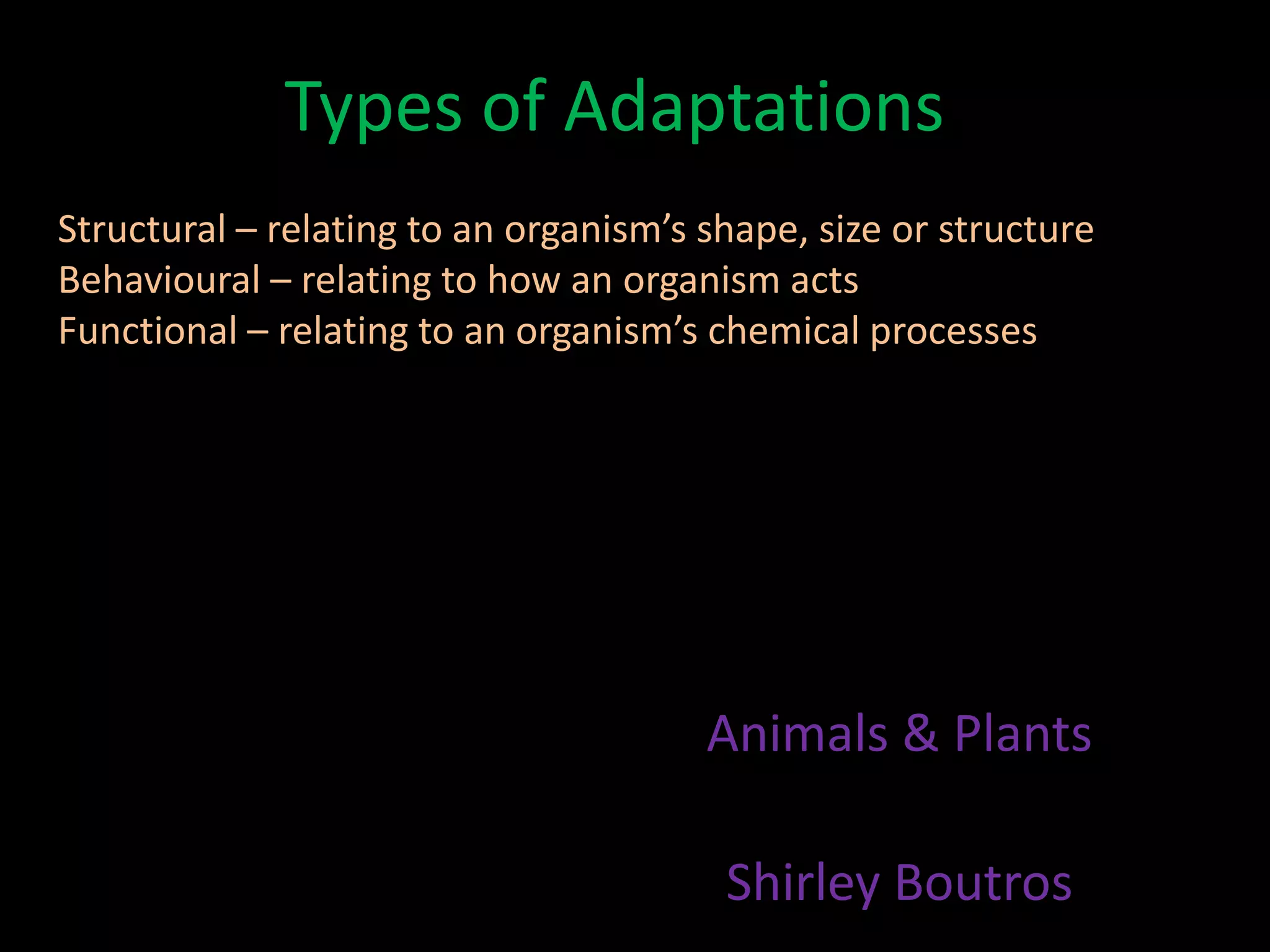 Types of adaptations - animals & plants | PPTX