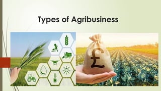 Types of Agribusiness in the Philippines.pptx