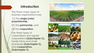 Types of Agribusiness in the Philippines.pptx