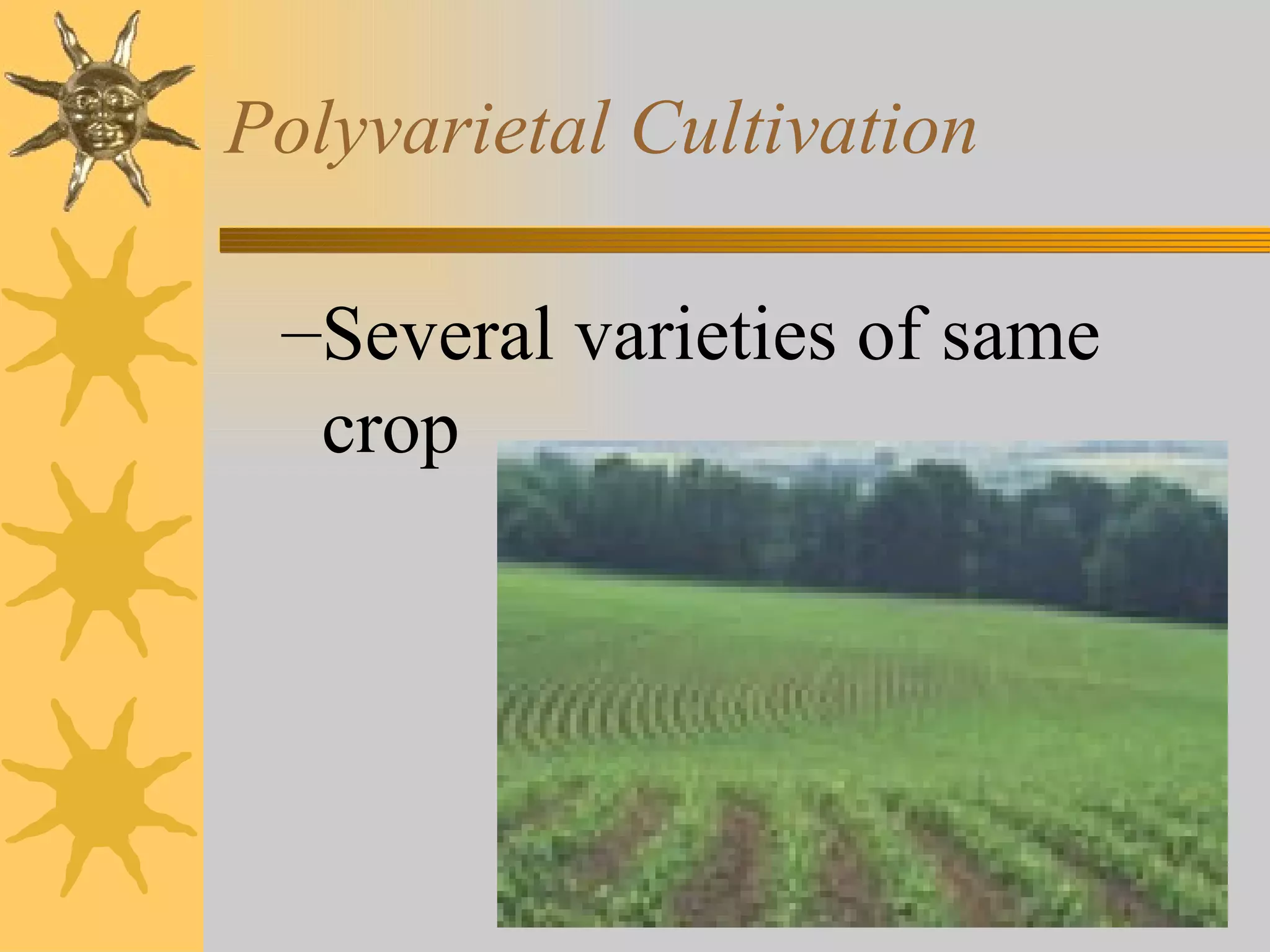 Types of agriculture | PPT