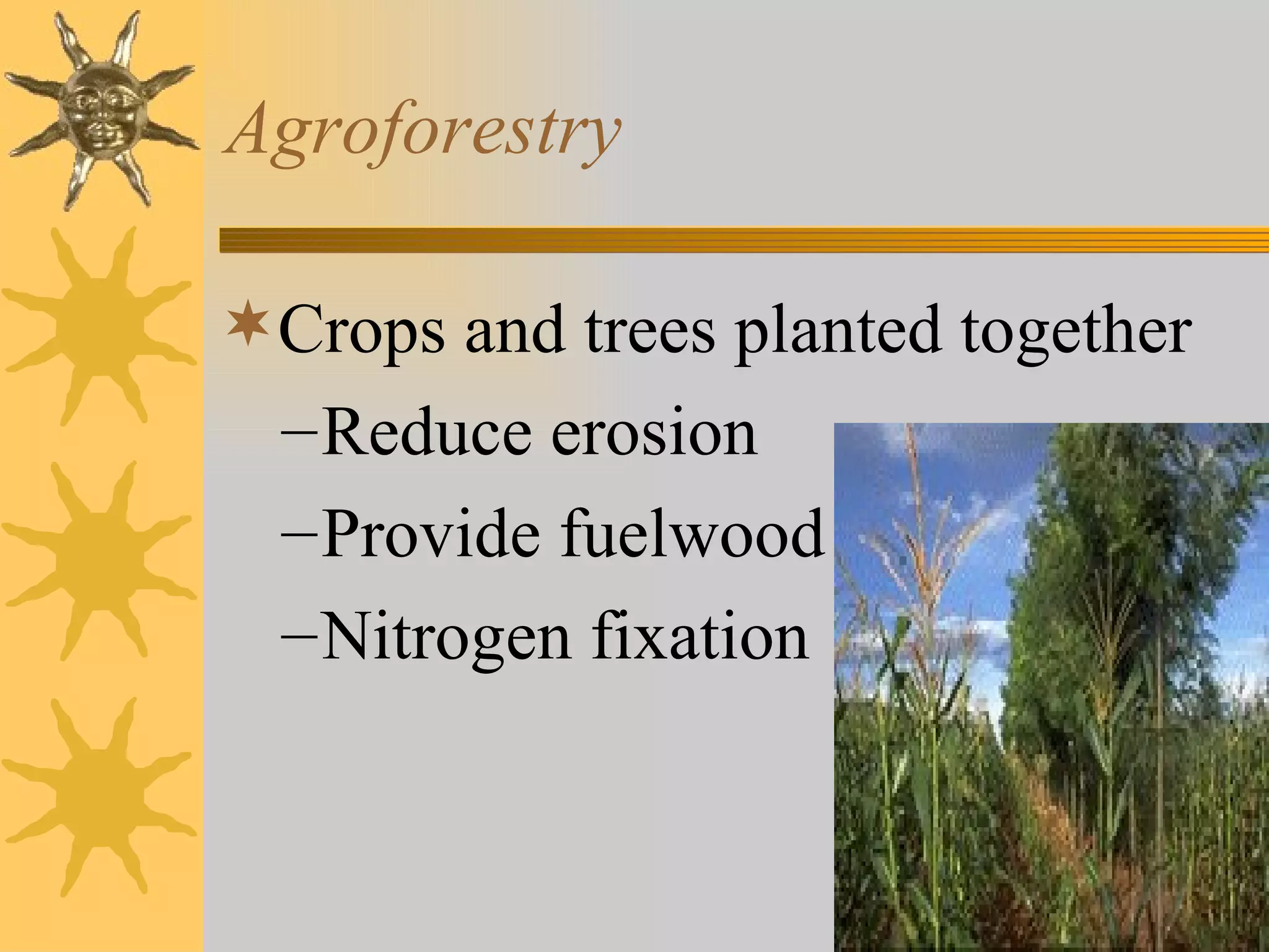 Types of agriculture | PPT