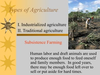 Types Of Subsistence Farming