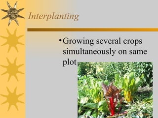 Types of agriculture | PPT