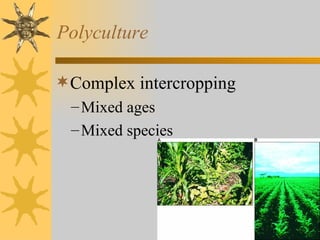 Types of agriculture | PPT