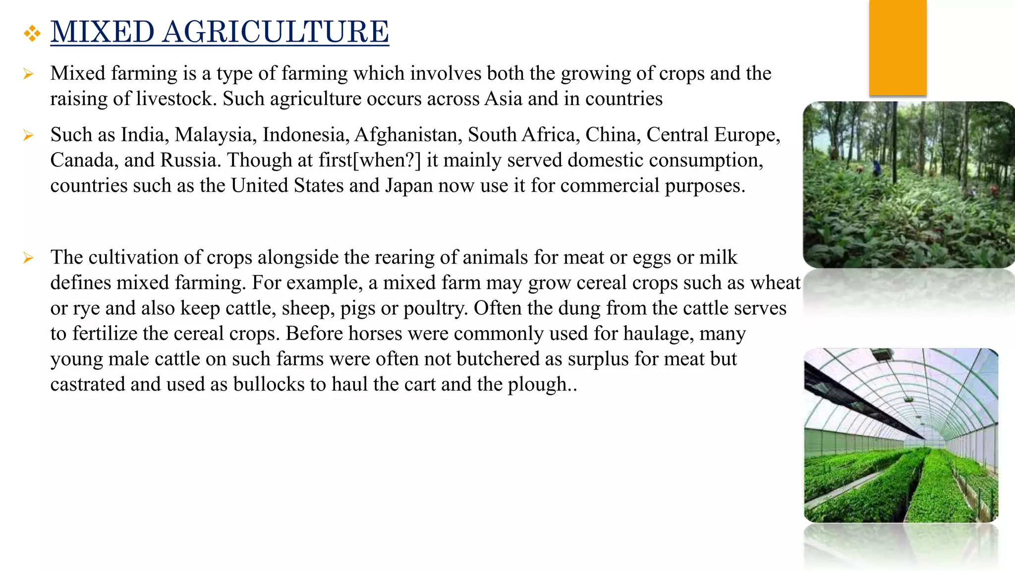 Types Of Agriculture by Rumaniya.pptx | Agriculture | Industries