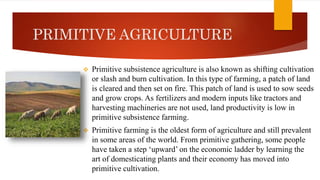 Types Of Agriculture by Rumaniya.pptx | Agriculture | Industries