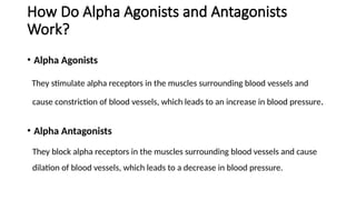 Types of alpha adrenergic receptors.pptx