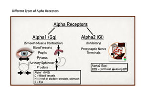 Types of alpha adrenergic receptors.pptx
