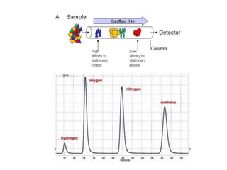 Types of Industrial Process Analyzers | PPTX