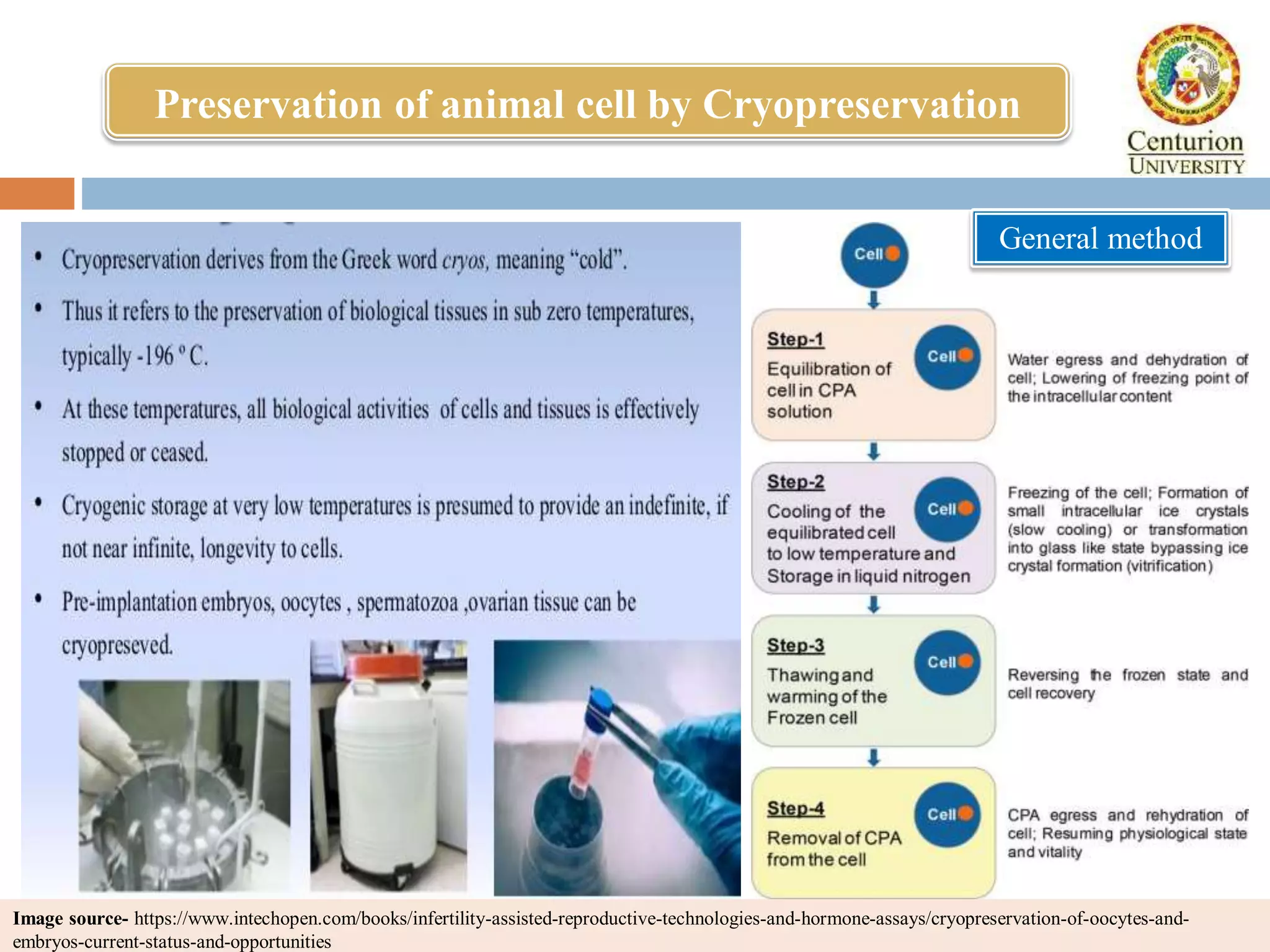 Types of animal cell culture, characterization and preservation | PDF