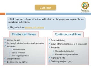 Types of animal cell culture, characterization and preservation | PDF