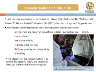 Types of animal cell culture, characterization and preservation | PDF