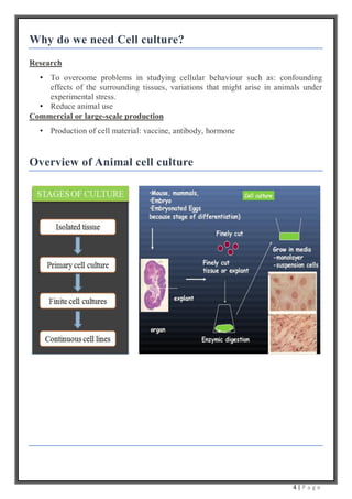 Types of animal cell culture; characterization & Their preservation. | PDF