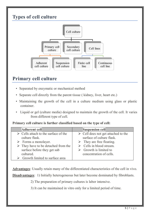 Types of animal cell culture; characterization & Their preservation. | PDF