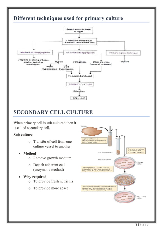 Types of animal cell culture; characterization & Their preservation. | PDF