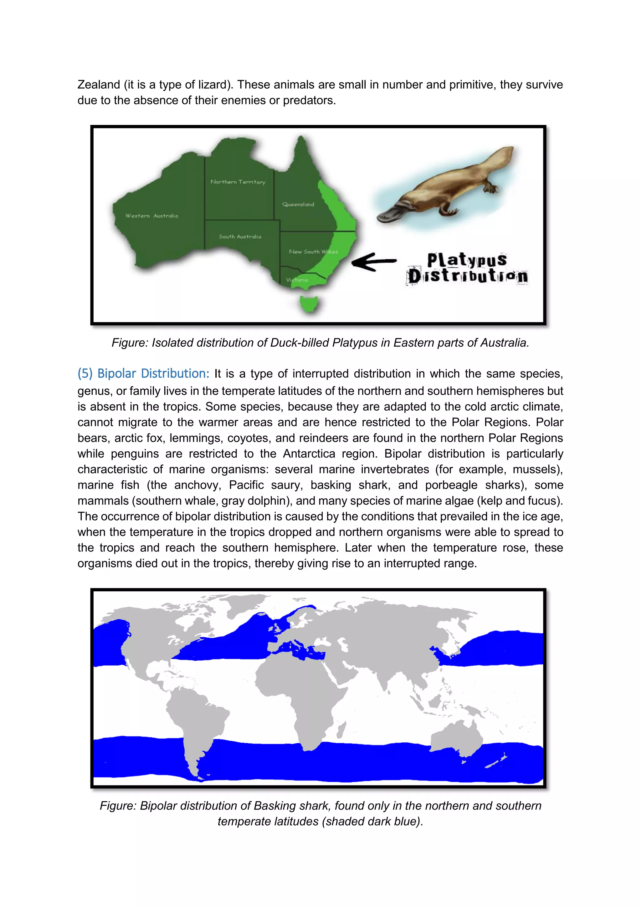 Types of Animal Distribution | PDF