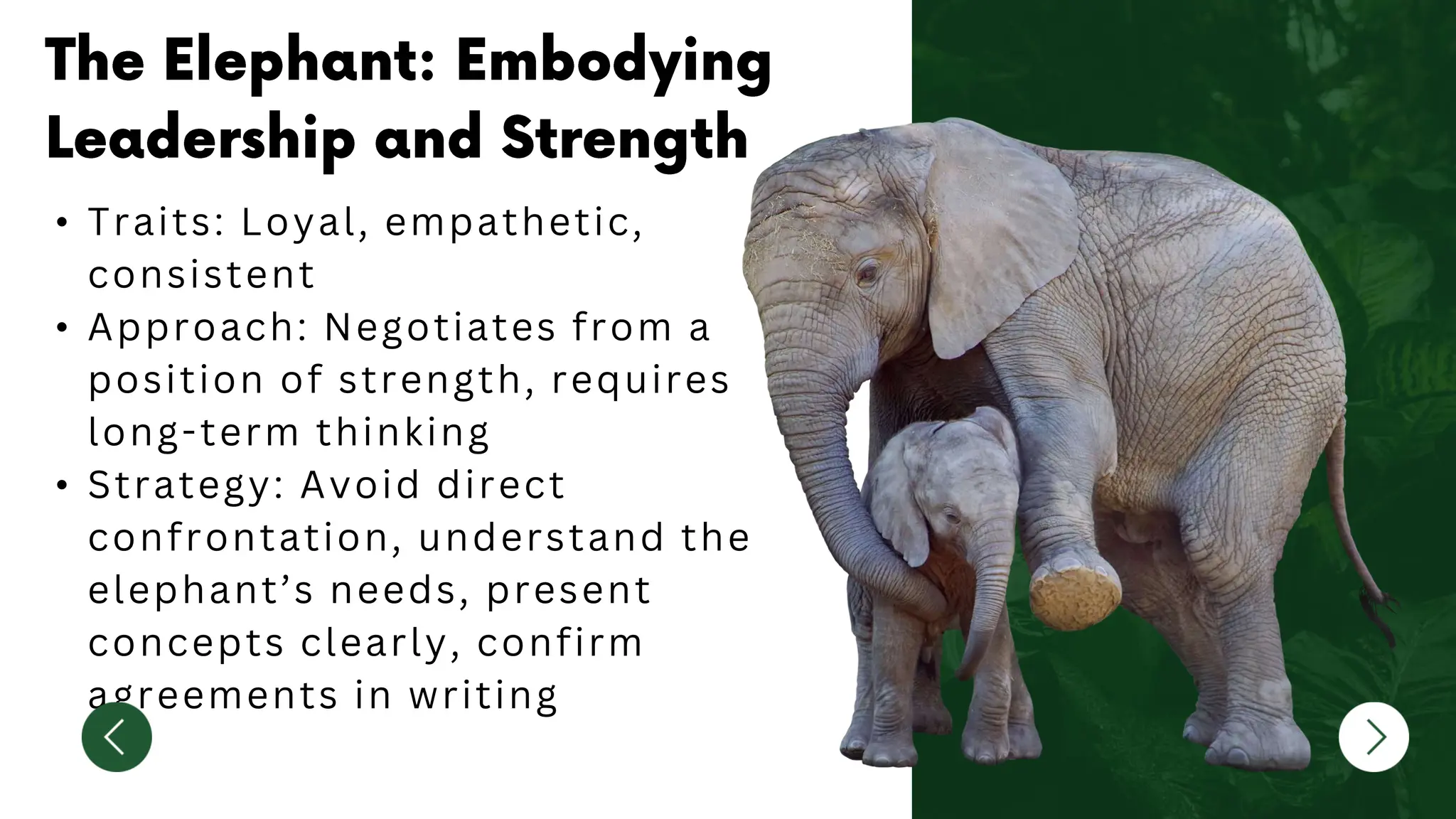 Types of animal personality at work.pptx