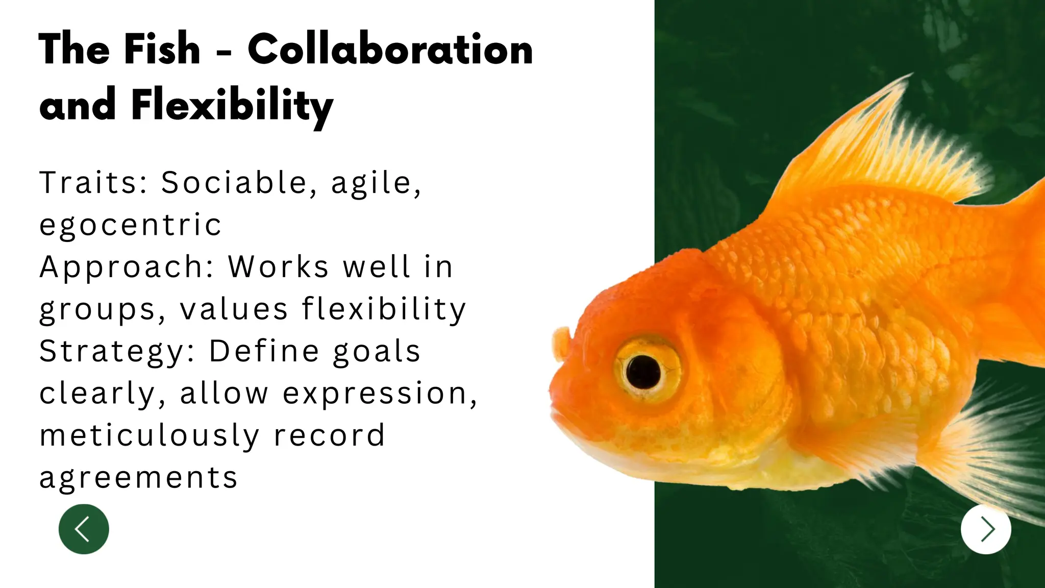 Types of animal personality at work.pptx