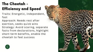 Types of animal personality at work.pptx